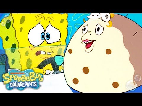 SpongeBob Fails His Boating Test w/ Mrs. Puff 🛥 SpongeBob