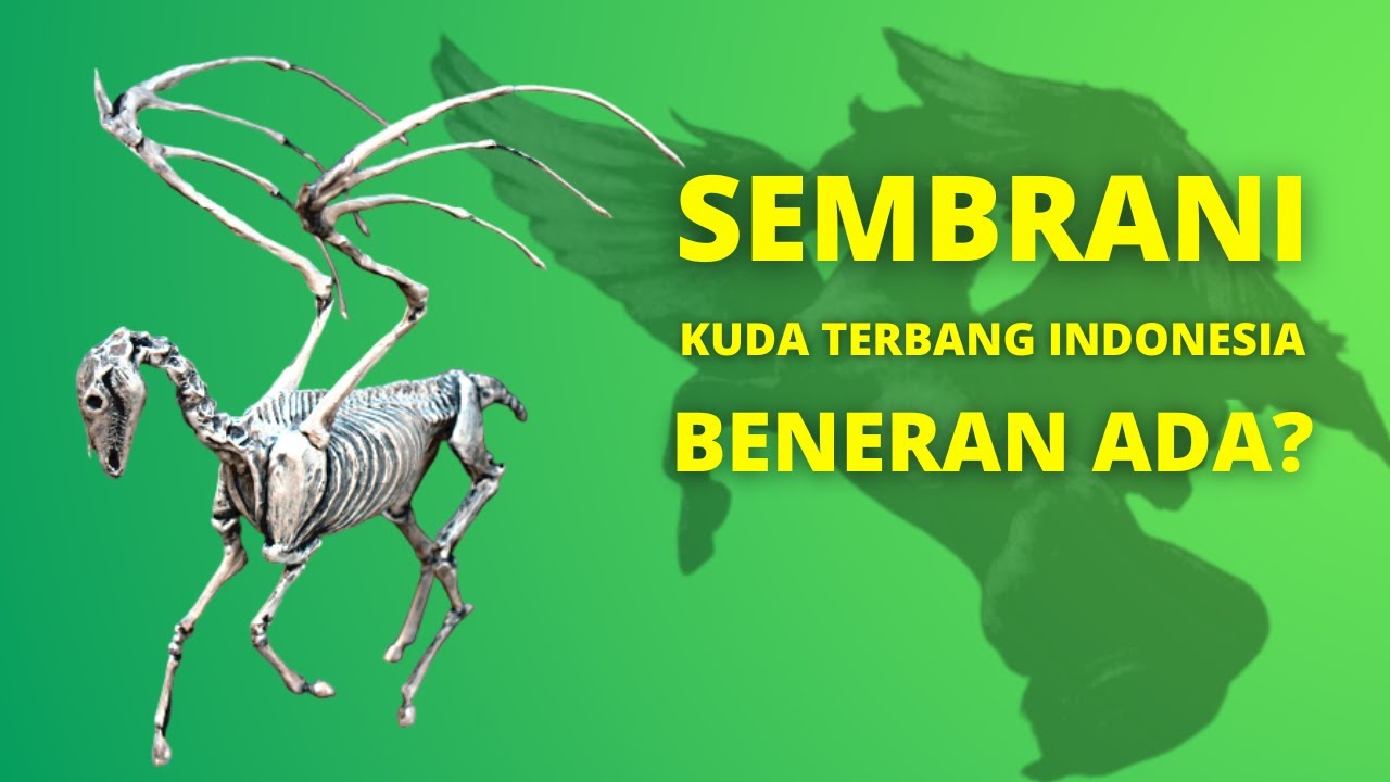 Fakta Dibalik Legenda Kuda Sembrani - Kuda Terbang (Pegasus) Versi ...
