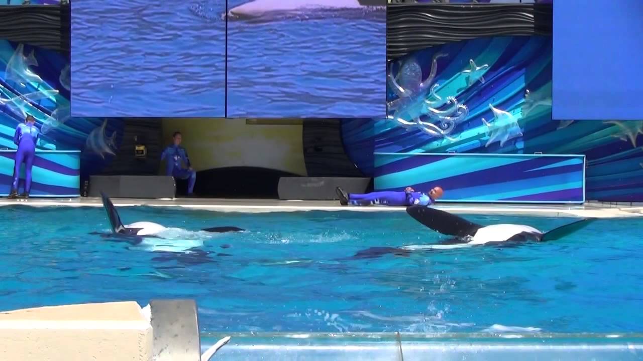 One Ocean Full Show - Soak Zone - SeaWorld San Diego - YouTube