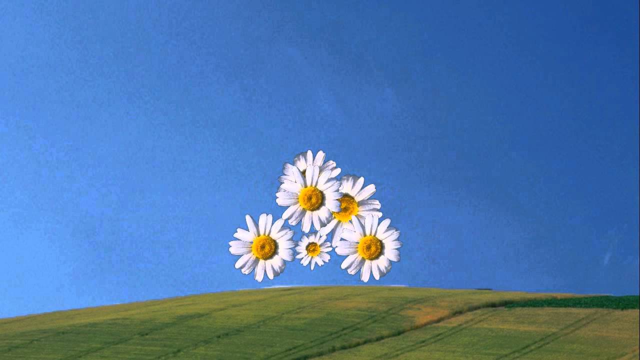 Hurry Up Spring! - YouTube