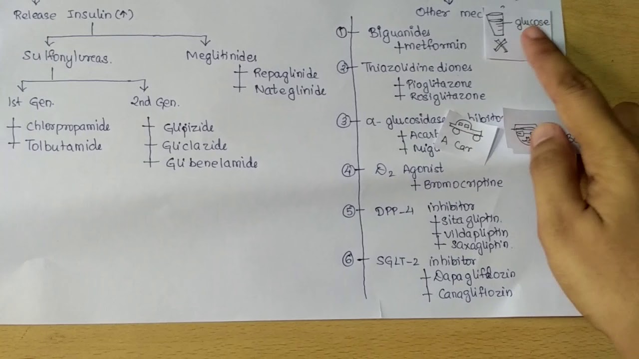 Oral Anti hyperglycemic agents classification - YouTube