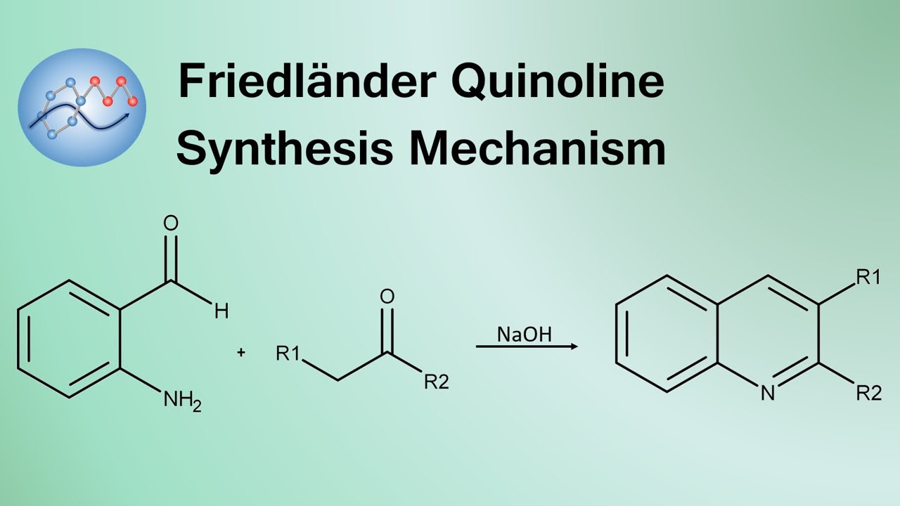Friedländer Quinoline Synthesis Mechanism | Organic Chemistry - YouTube