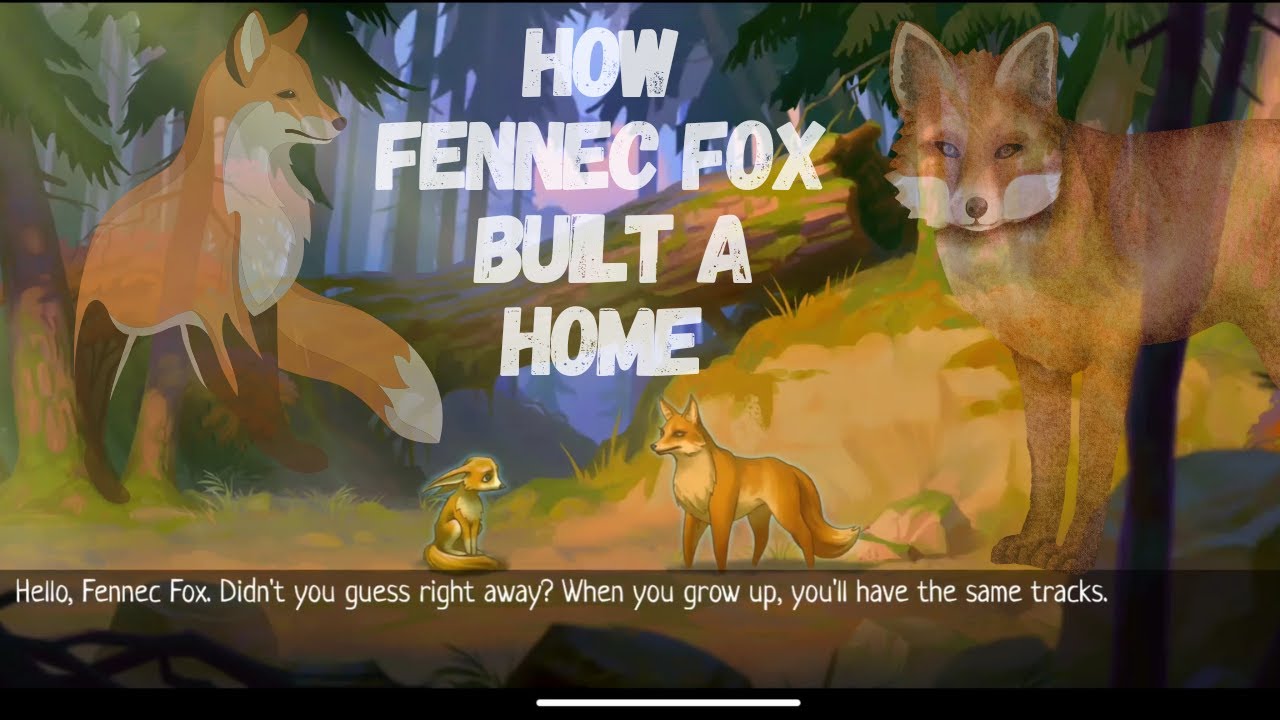 HOW FENNEC FOX BUILT A HOME - YouTube
