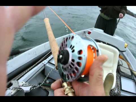 TROLLING- FLY ROD NEW ENGLAND STYLE FOR TORCH LAKE MICHIGAN LANDLOCKED ...