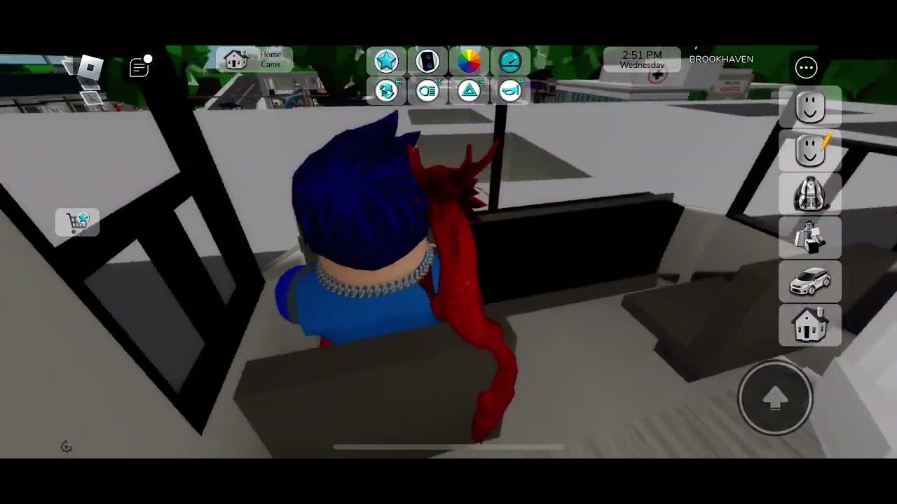 Brookhaven camping - YouTube