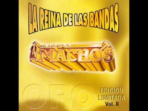 banda machos el mandilon - YouTube
