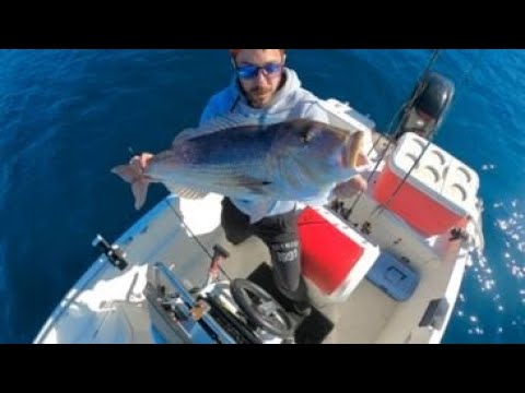 ΕΝΑ ΨΑΡΕΜΑ ΩΡΑΙΟ Η ΜΕΓΑΛΗ ΣΥΝΑΓΡΙΔΑ! 🐟 - YouTube