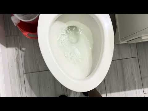 🚽Bathroom tour: and American standard toilet [Camera Test]