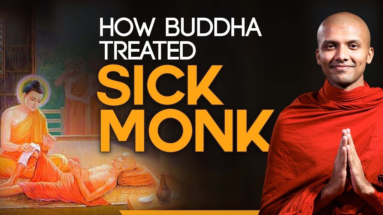 How Buddha Treated Sick monk | Buddha's Teachings - YouTube