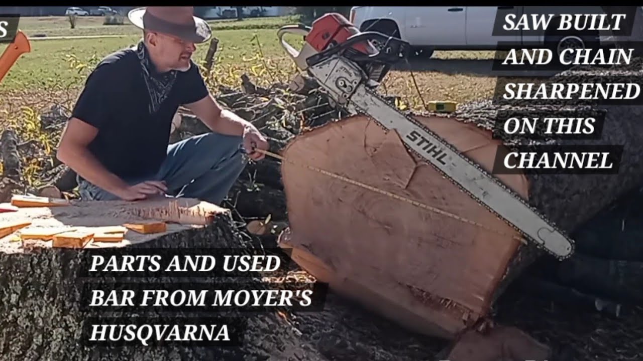 STIHL MS 660 BUCKING MAGNUM OAK - YouTube