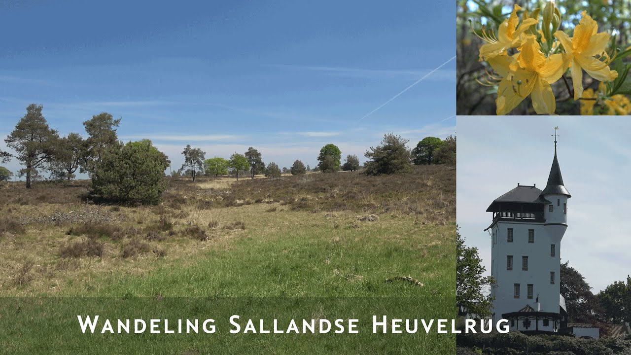 Wandeling Sallandse heuvelrug landgoed Sprengenberg - YouTube