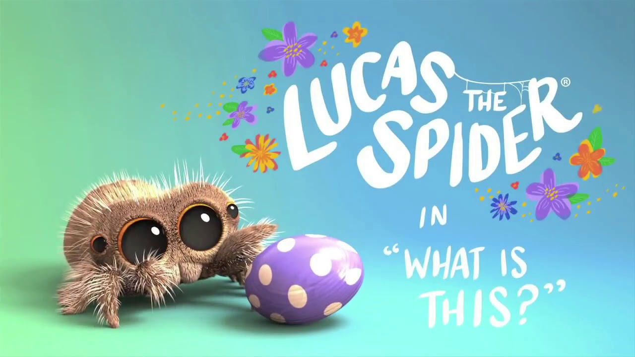 Lucas the Spider Compilation Video - YouTube