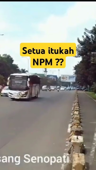 NPM nih bos - YouTube