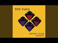 The Fall – Middle Class Revolt (1994, Vinyl) - Discogs
