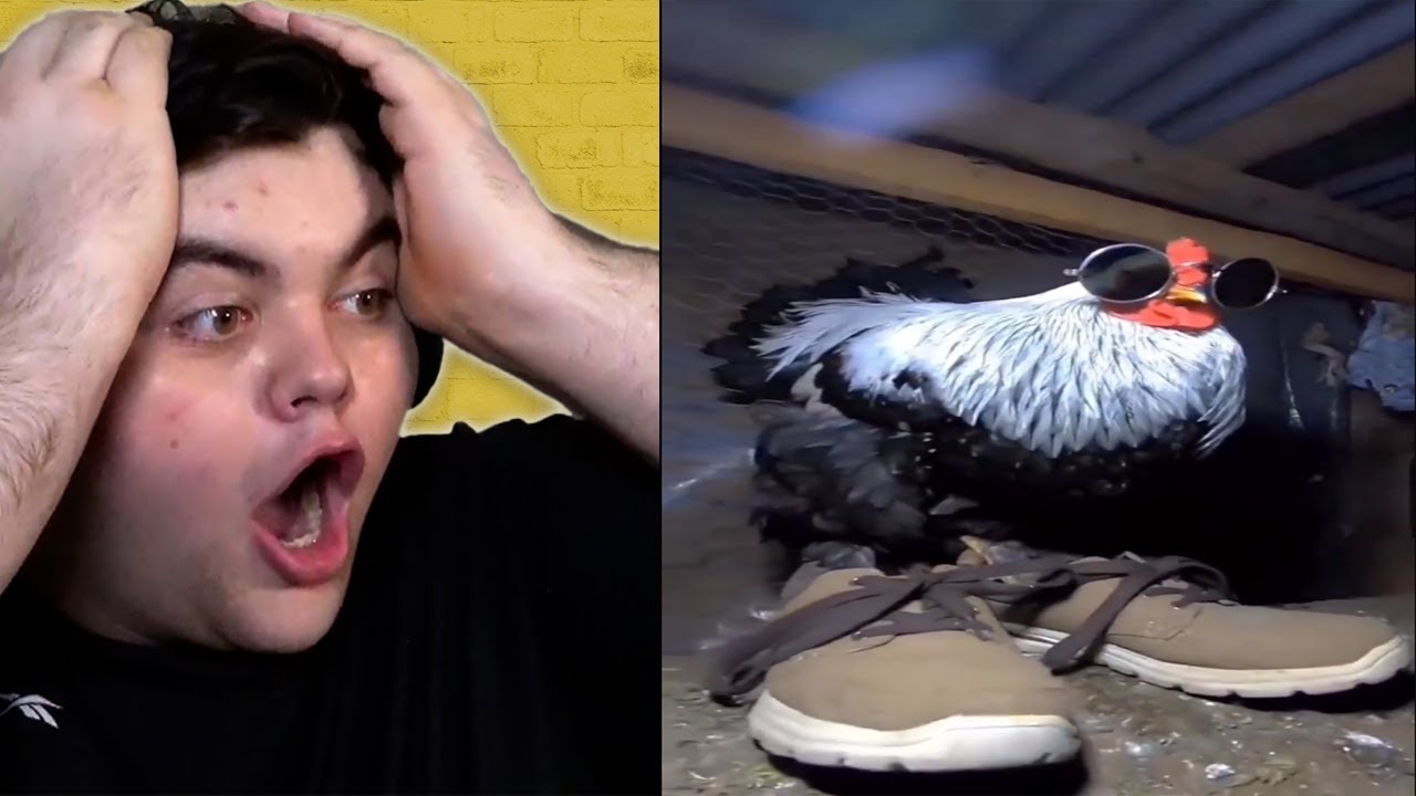 8 Min of Bizarre Memes - YouTube