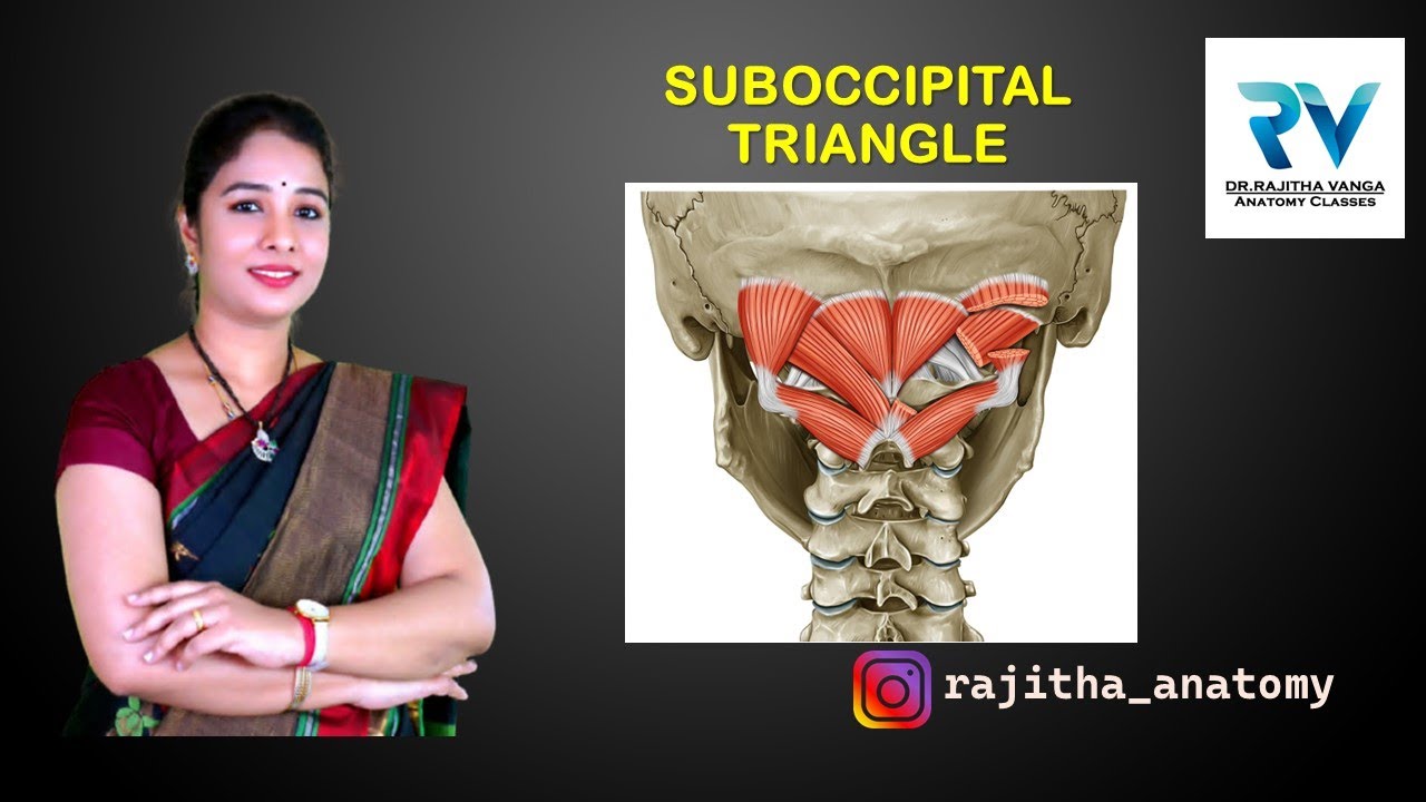 Suboccipital Triangle | Suboccipital Region | Suboccipital Muscles ...