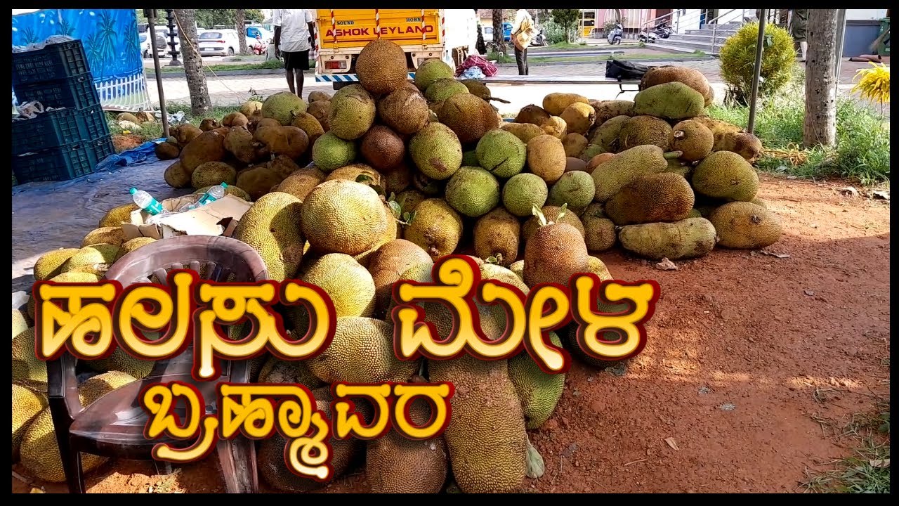 Halasu Mela Brahmavara ll ಬ್ರಹ್ಮಾವರ ಹಲಸಿನ ಮೇಳ 2024 ll - YouTube