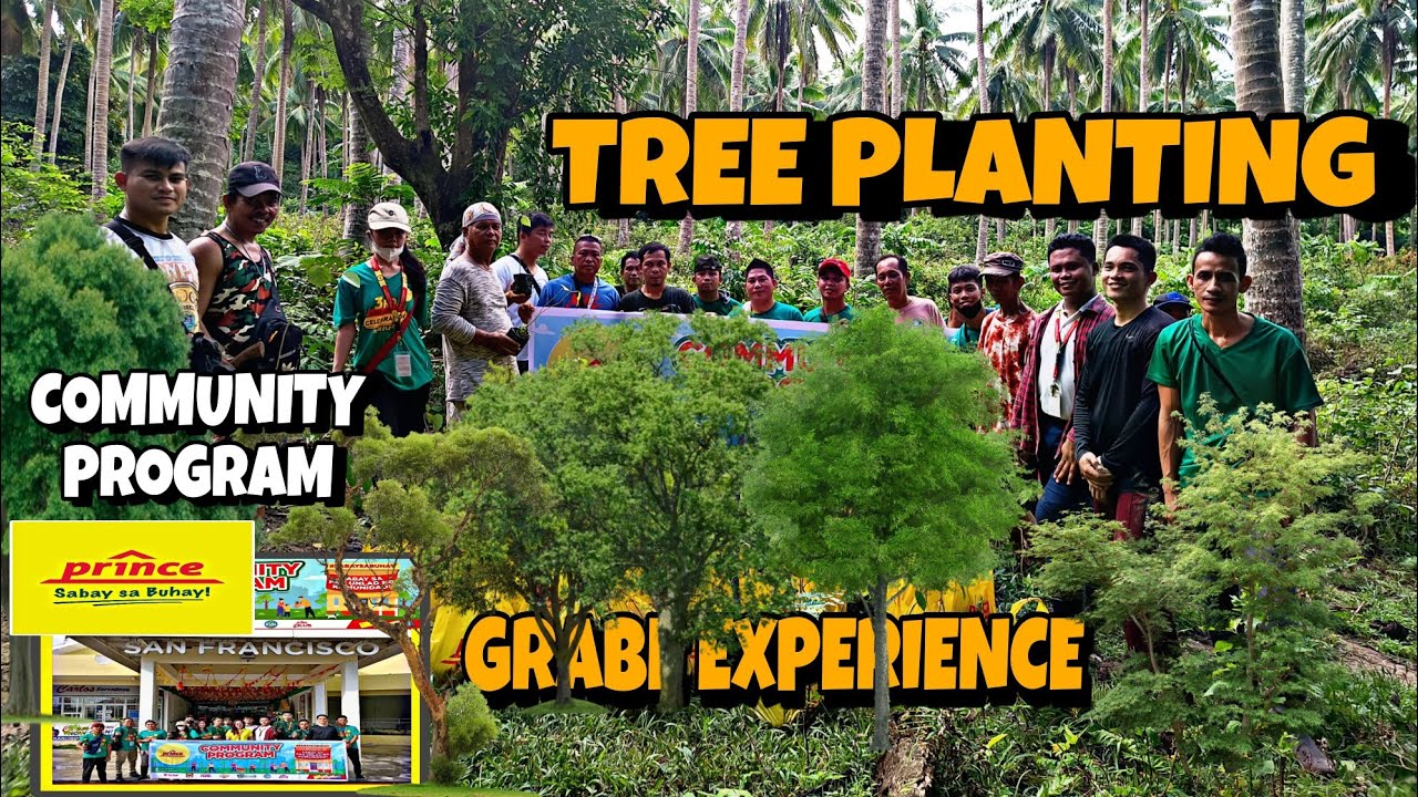 TREE PLANTING | GRABE EXPERIENCE - YouTube