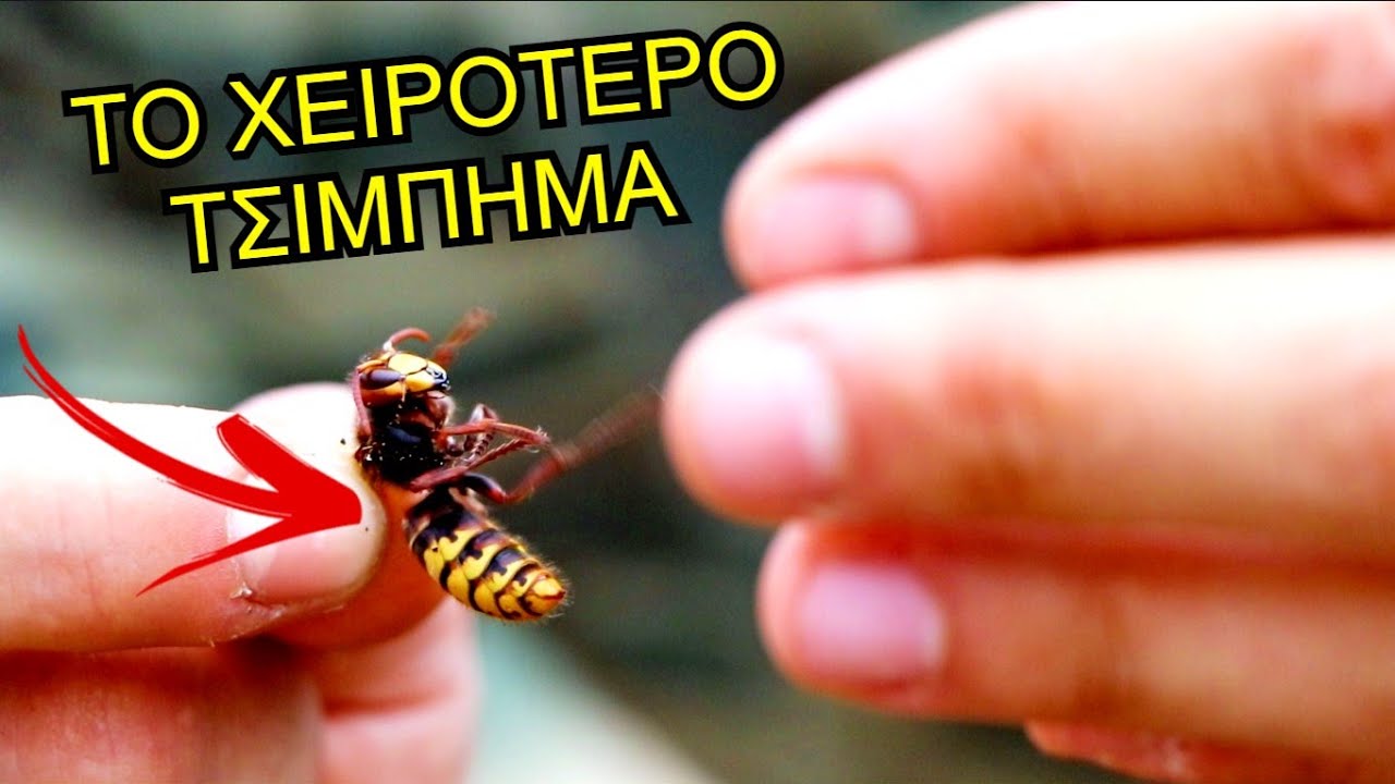 ΓΙΓΑΝΤΙΑ ΣΦΗΚΑ: ΤΟ ΧΕΙΡΟΤΕΡΟ ΤΣΙΜΠΗΜΑ ΣΤΗΝ ΕΛΛΑΔΑ - YouTube