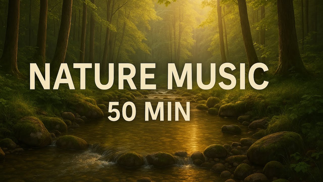 Nature Sounds & Ambient Music – 50 Minutes for Relaxation, Meditation ...