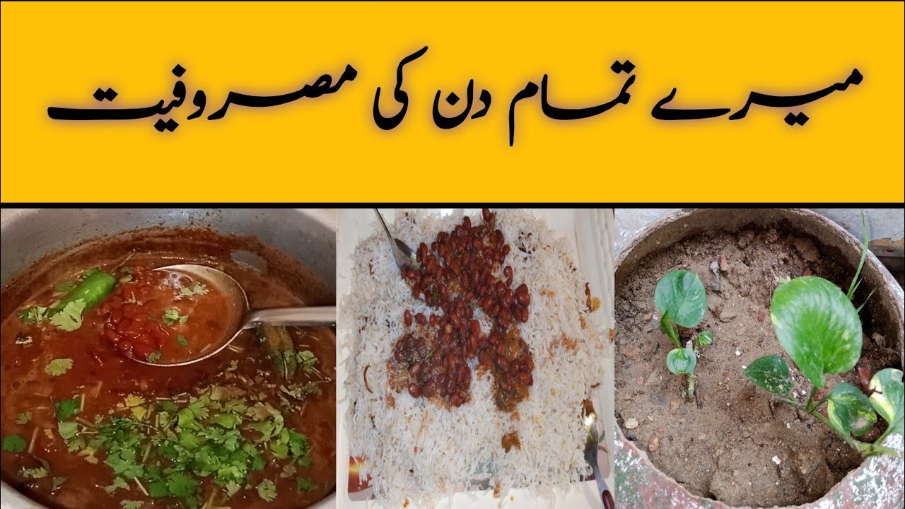 Lal Lobia Masala Recipe | With My All Vlog..😍 - YouTube