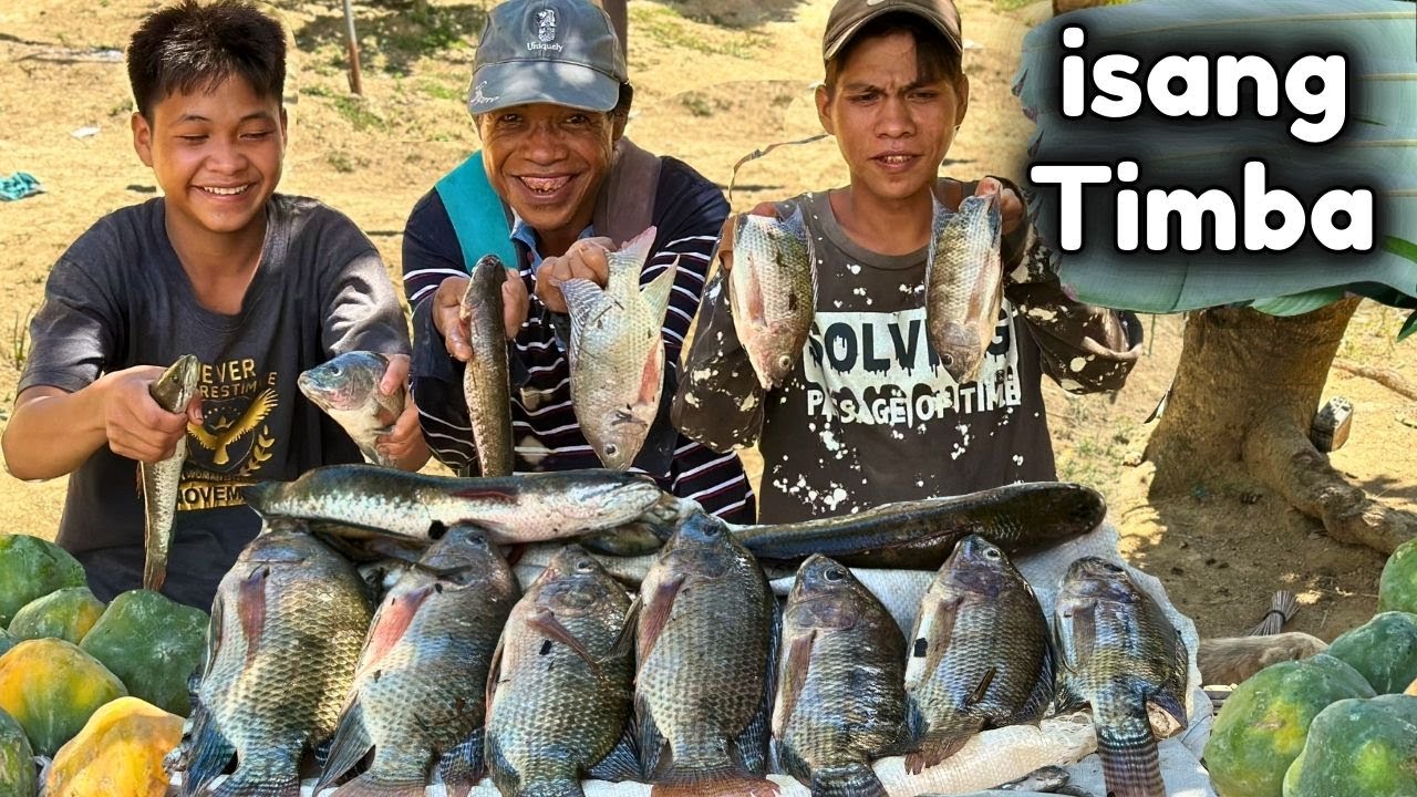 Halos isang timba at malalaking isda ang nakuha sa farm | FISH HARVEST ...
