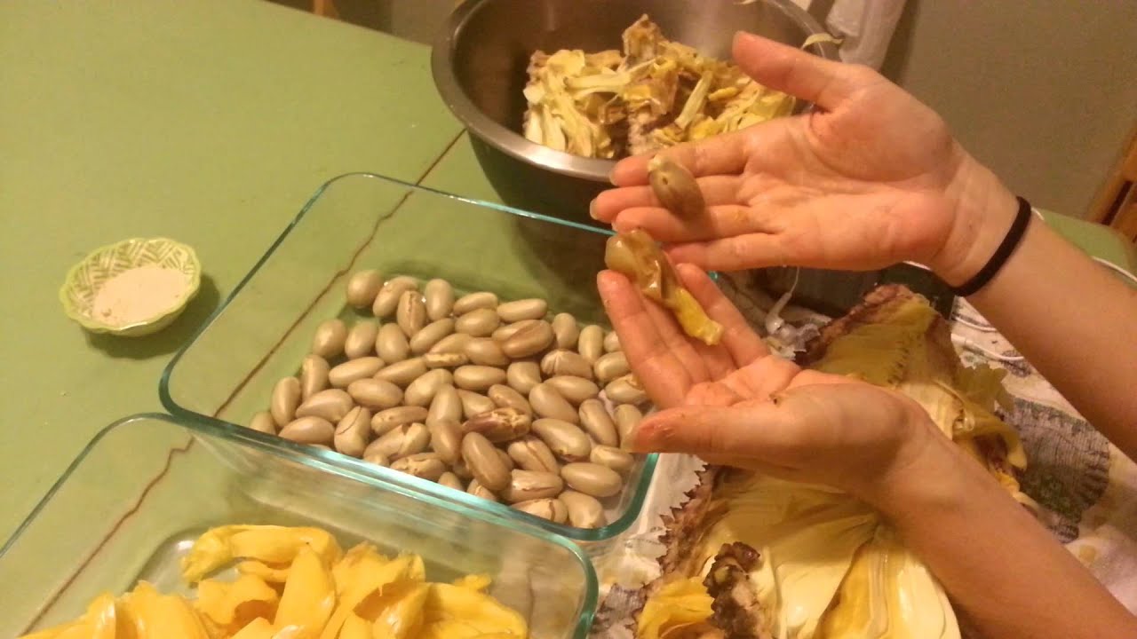 How to process ripe jackfruit - YouTube