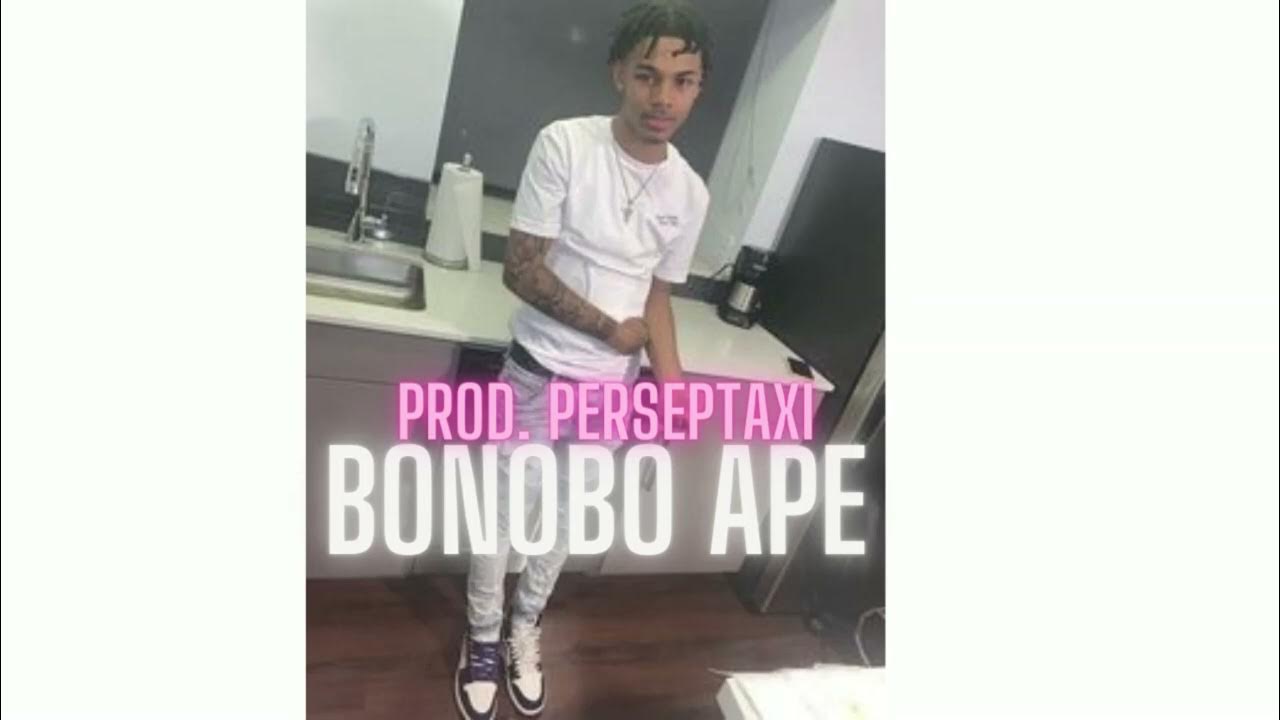 [FREE] Mg Sleepy X 10TALilA X Tse E2 X Sample Type Beat - ''Bonobo Ape ...