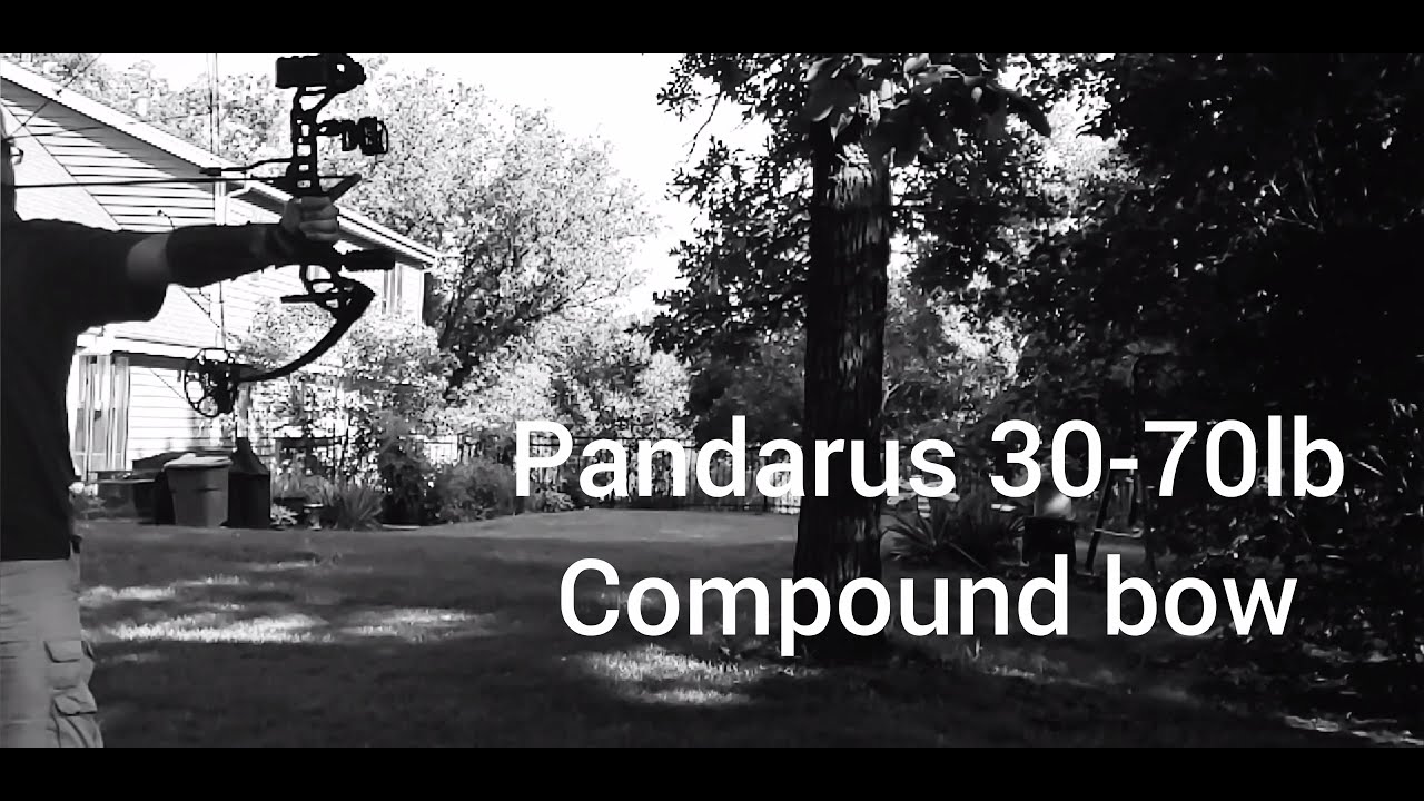 Pandarus 70# Compound Bow * AMAZON FIND* - YouTube