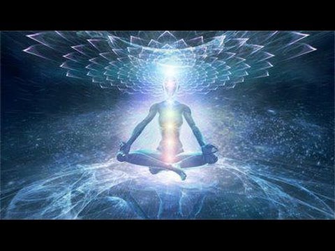 Aligning With Your Higher Self - Your Human Mission: Thriving on Your Personal Path PT. 2 - YouTube