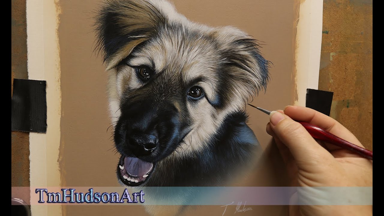Painting a realistic german shepherd mix pup in acrylic - art timelapse ...