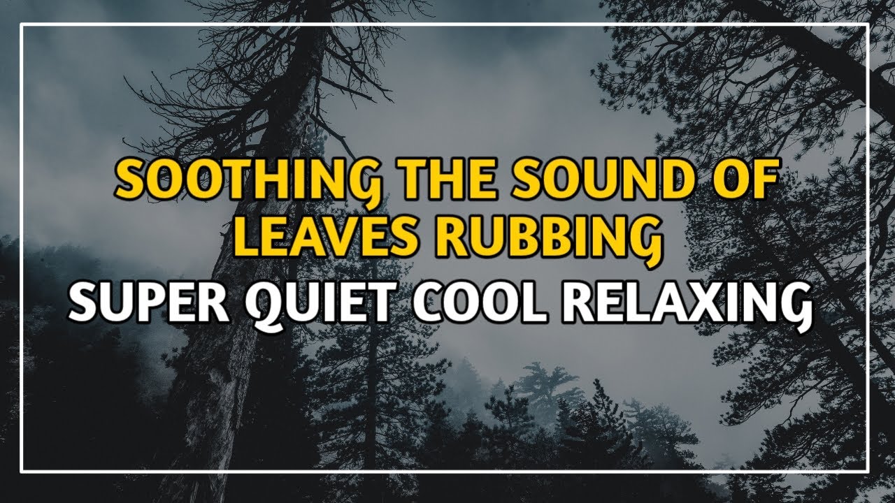 HD Nighttime Ambience - 8HOURS of Calming Tropical Forest Sound for ...