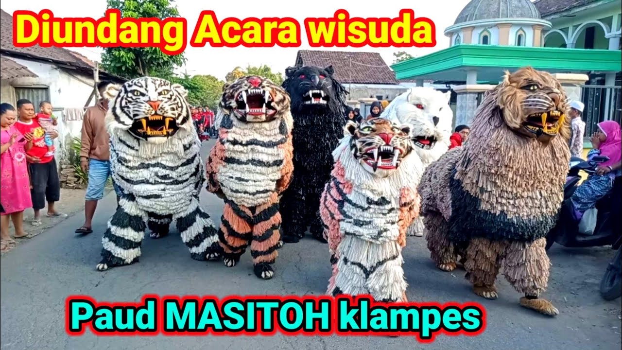 Can macanan singo Raung cilik di undang acara wisuda paud MASITOH ...