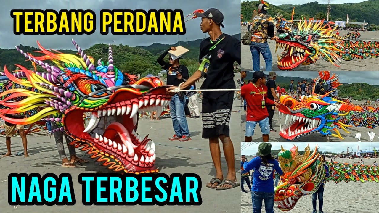 Layangan Naga Terbesar Dan Terkeren Terbang Perdana Di Pantai ...