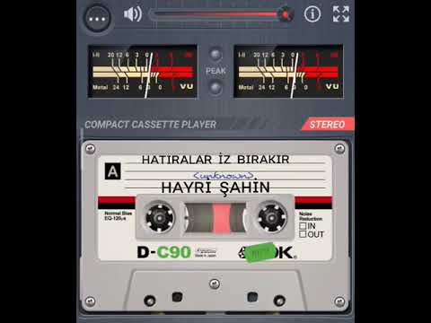 HAYRİ ŞAHİN-DERTLERİM GECE BAŞLAR
