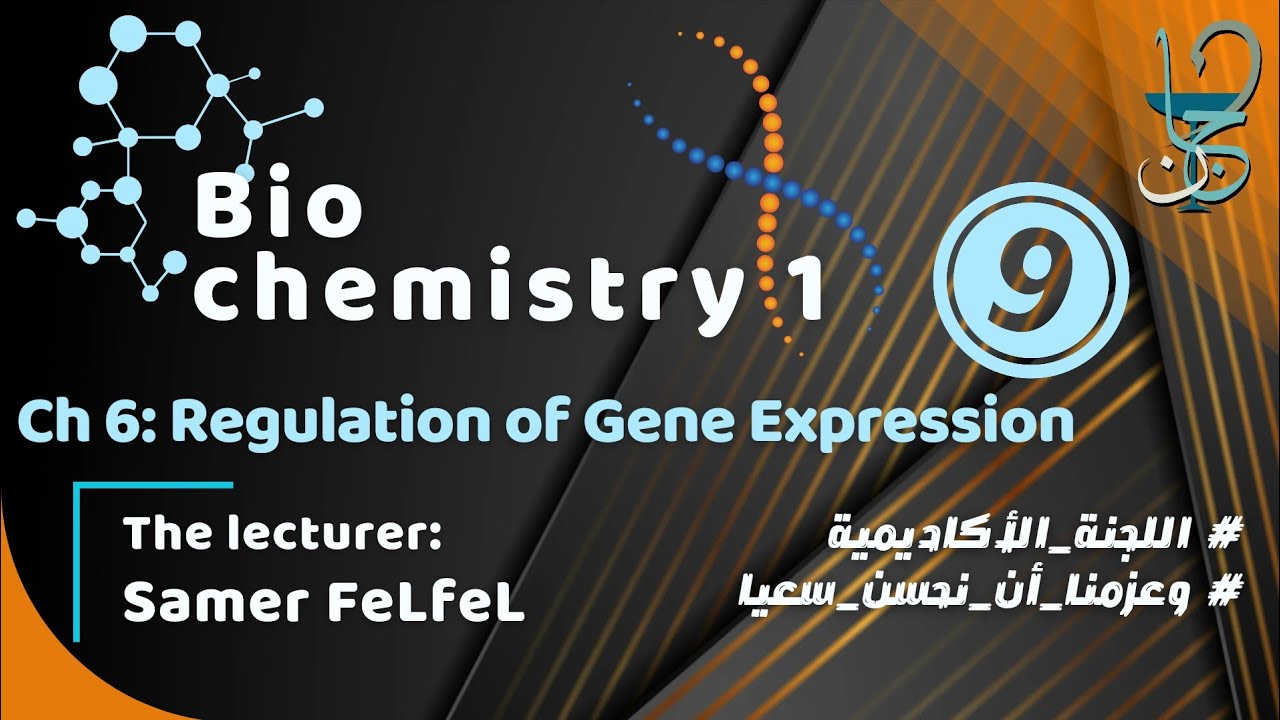 Biochemistry 1 Ch 6: Regulation of Gene Expression - YouTube