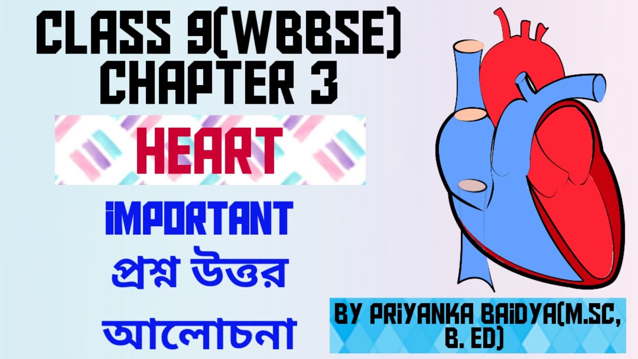 class 9 wbbsc life science chapter 3/ Heart questions answers/in ...