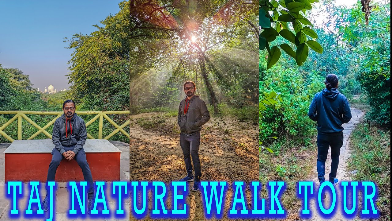 Early morning walk at Taj Nature Walk Park Agra - Agra Vlog Series Part ...