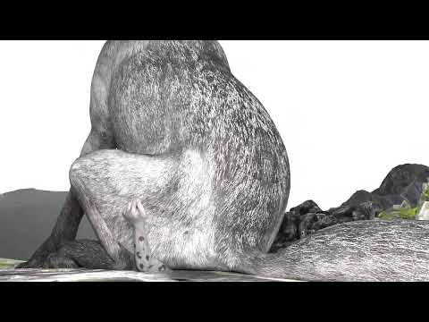 Wolf facesitting Jax | SpruceMoki Animation