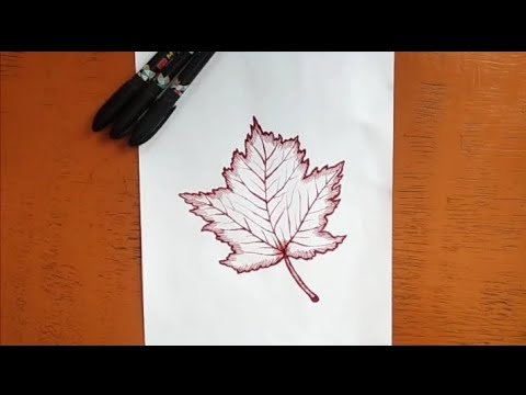how to draw beautiful leaf || marker drawing || eassy drawing - YouTube