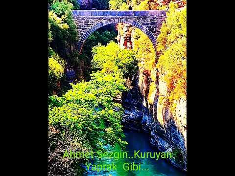 Ahmet Sezgin..Kuruyan Yaprak Gibi..