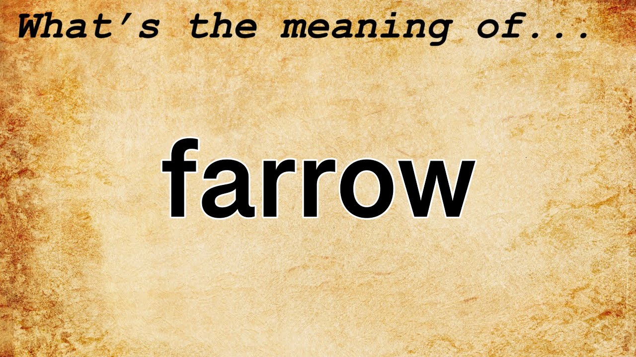 Farrow Meaning | Definition of Farrow - YouTube