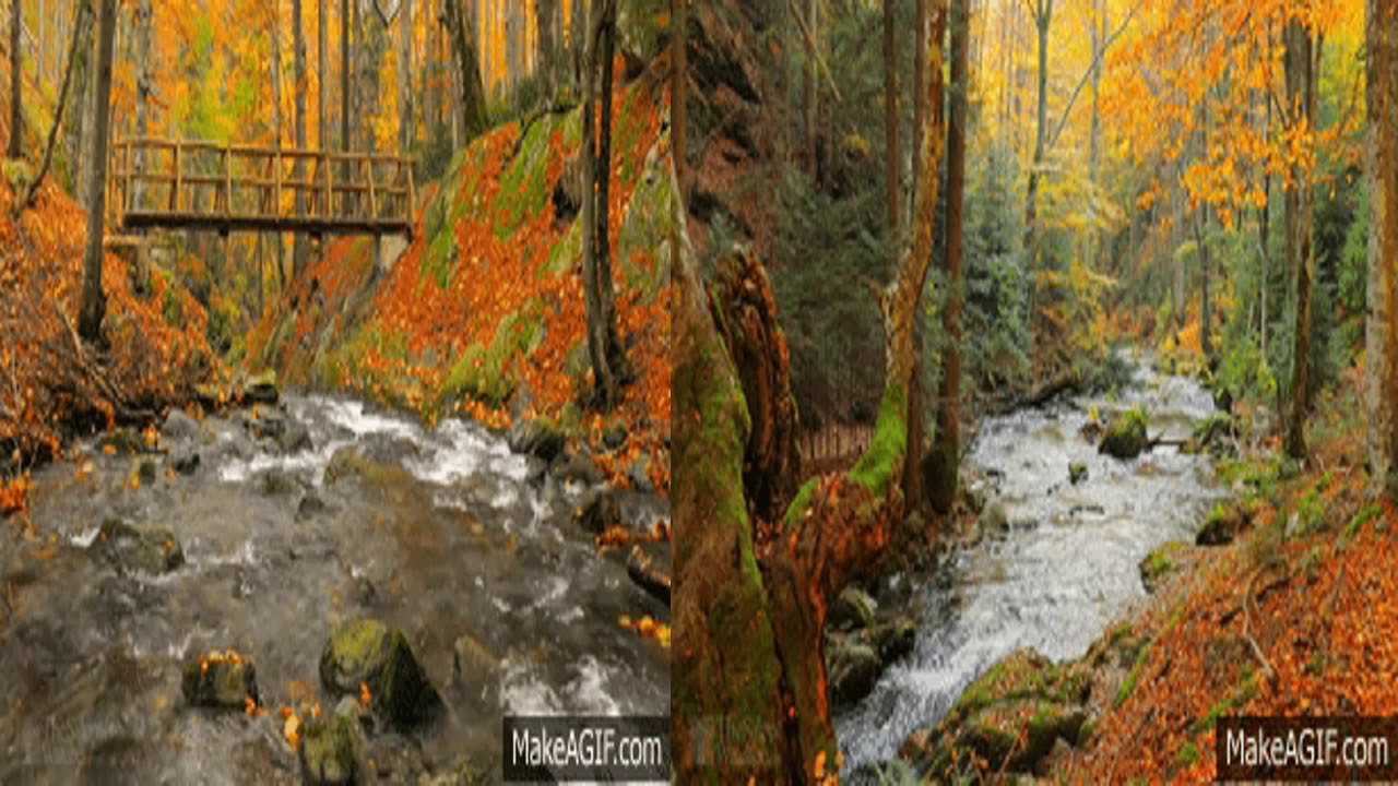 The best autumn river nature sounds for relaxation, soothing - YouTube