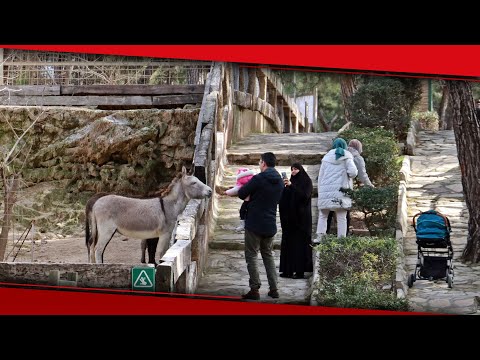 Karla Tanışan Antalya Hayvanat Bahçesindeki Tropik Hayvanlara ve Konforu