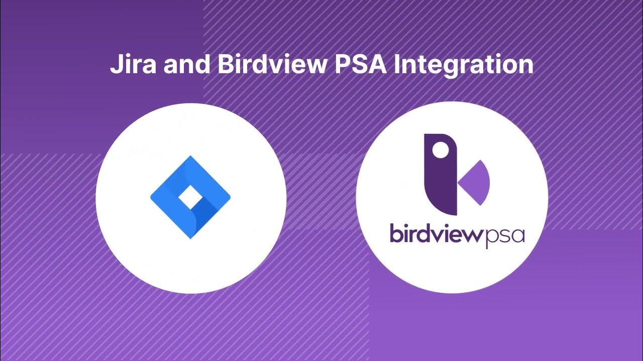 Birdview PSA and Jira Integration Tutorial - YouTube