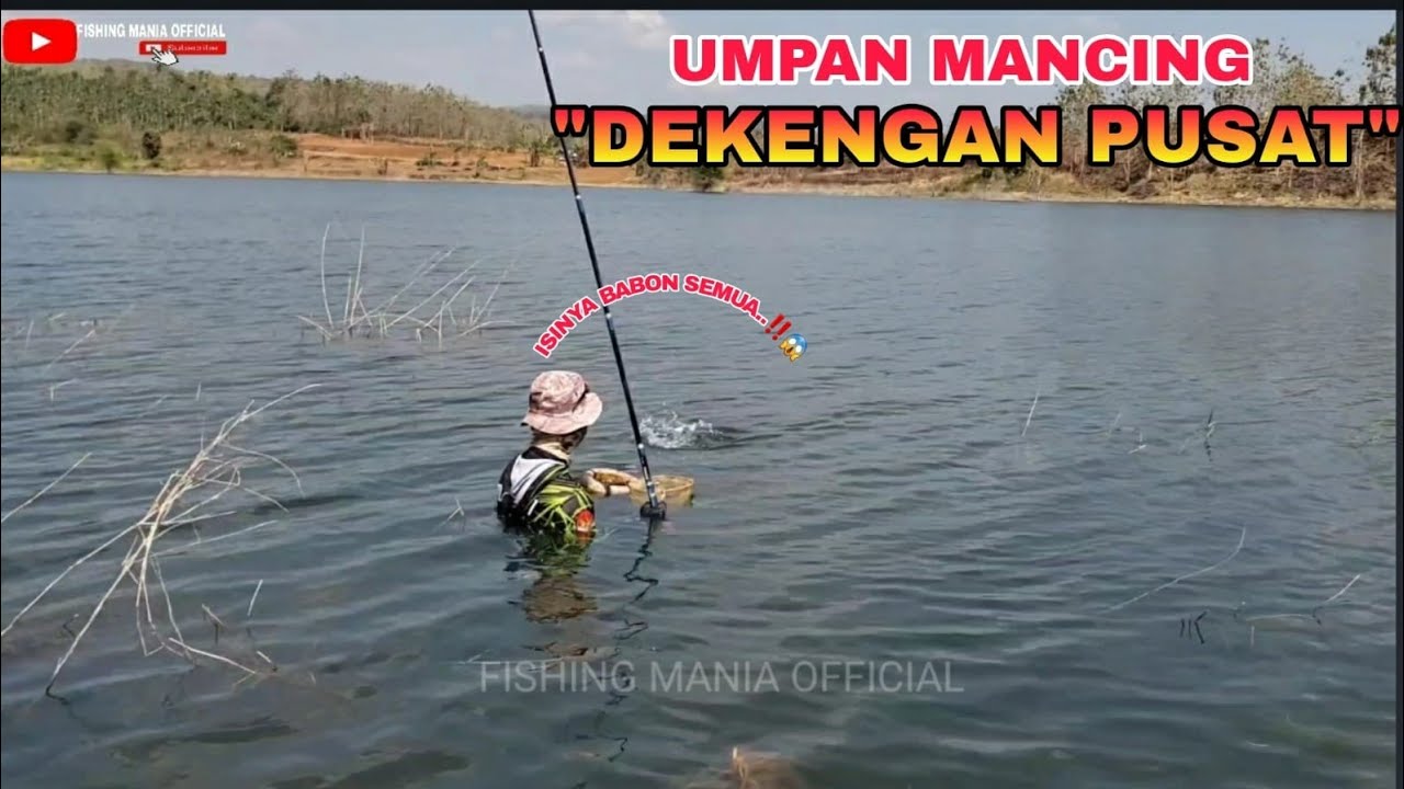 🔴Umpanya "Dekengan Pusat" Yang Kena Babon Semua Mancing Nila Dan Toman ...