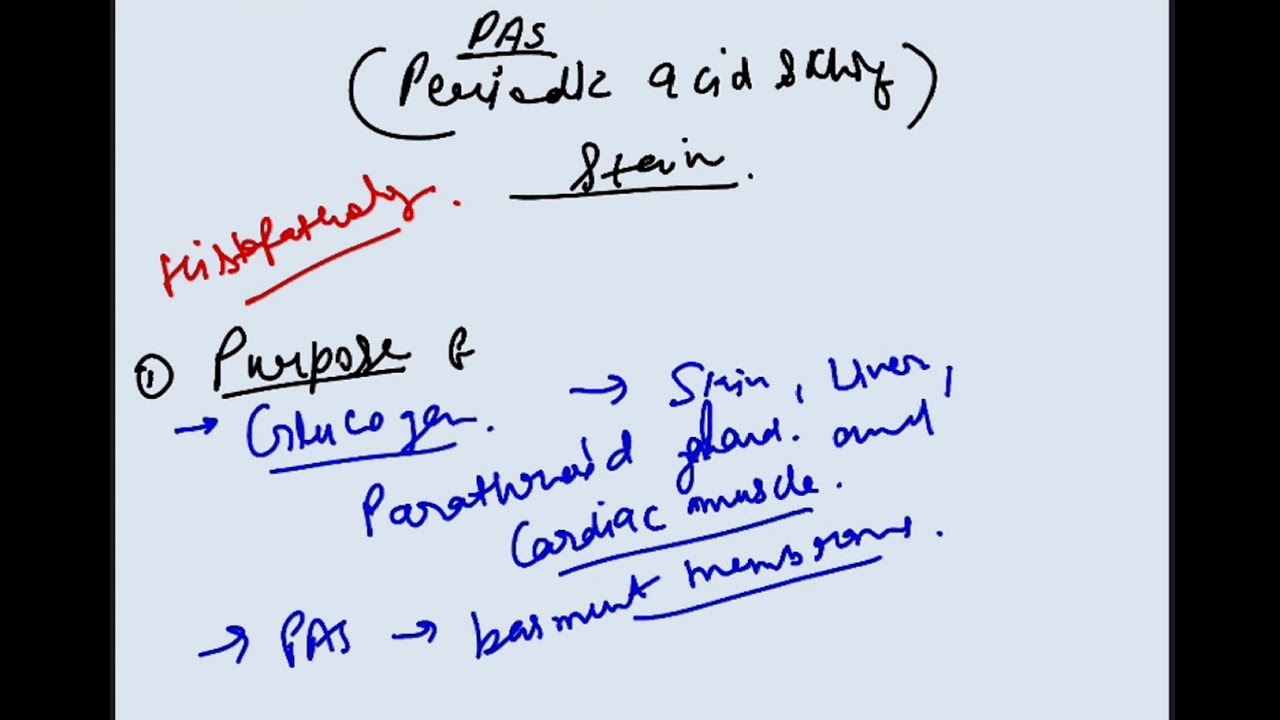 Pas stain | special stain in histopathology | Periodic Acid Schiff ...