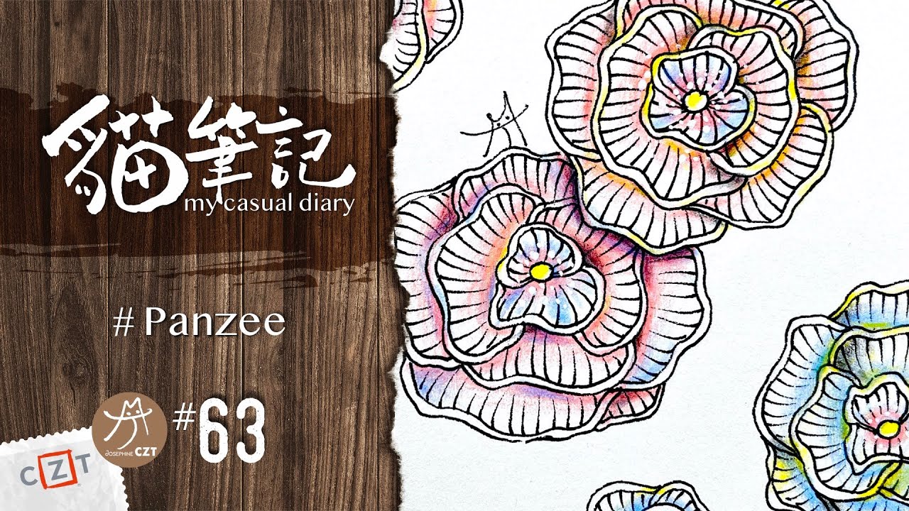 【貓筆記】#Panzee 睡前直播 ︎ #zentangle #禪繞畫 #禅绕画 #ゼンタングル #젠탱글 - YouTube