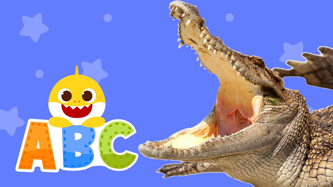 Learn ABCs with Baby Shark | Learn Animals | ABC Song | Baby Shark ABC ...