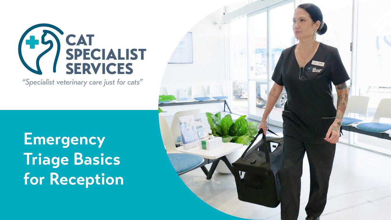 Emergency Triage Basics for Veterinary Reception Teams - YouTube